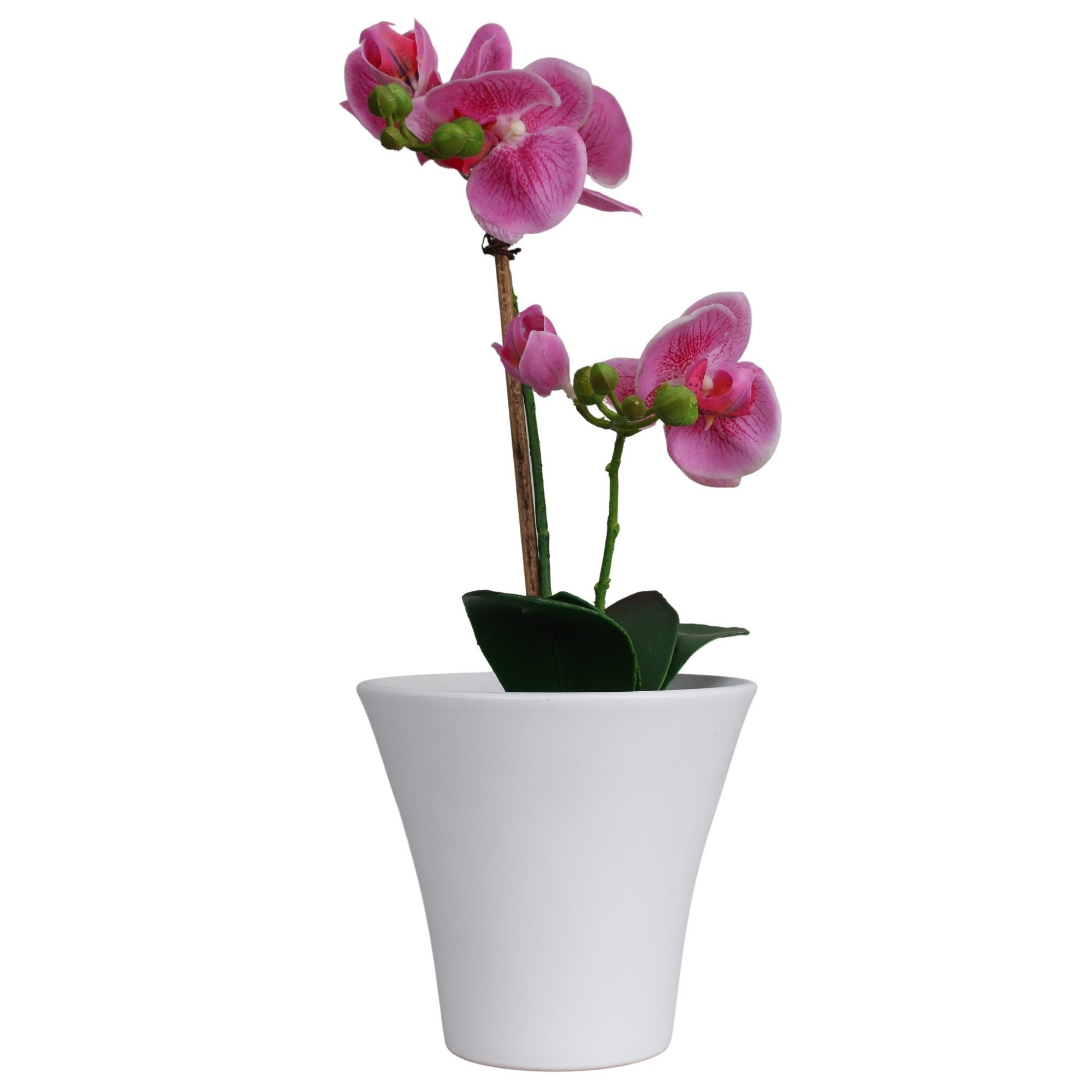 Ghiveci orhidee, ceramica, Ø 16 cm, alb