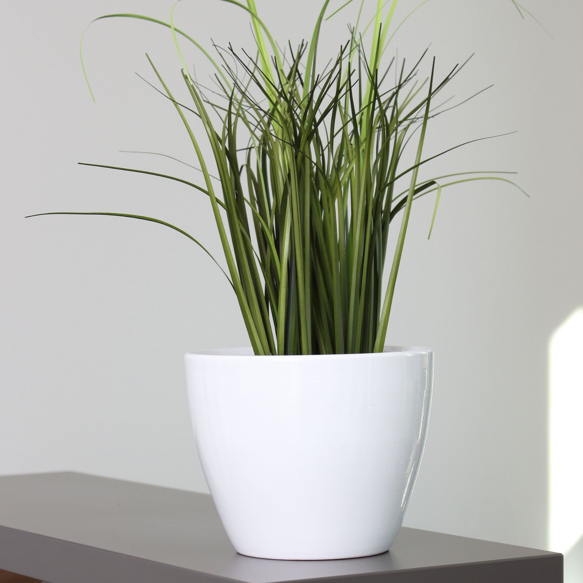 Ghiveci flori, ceramica, Ø 30 cm, alb