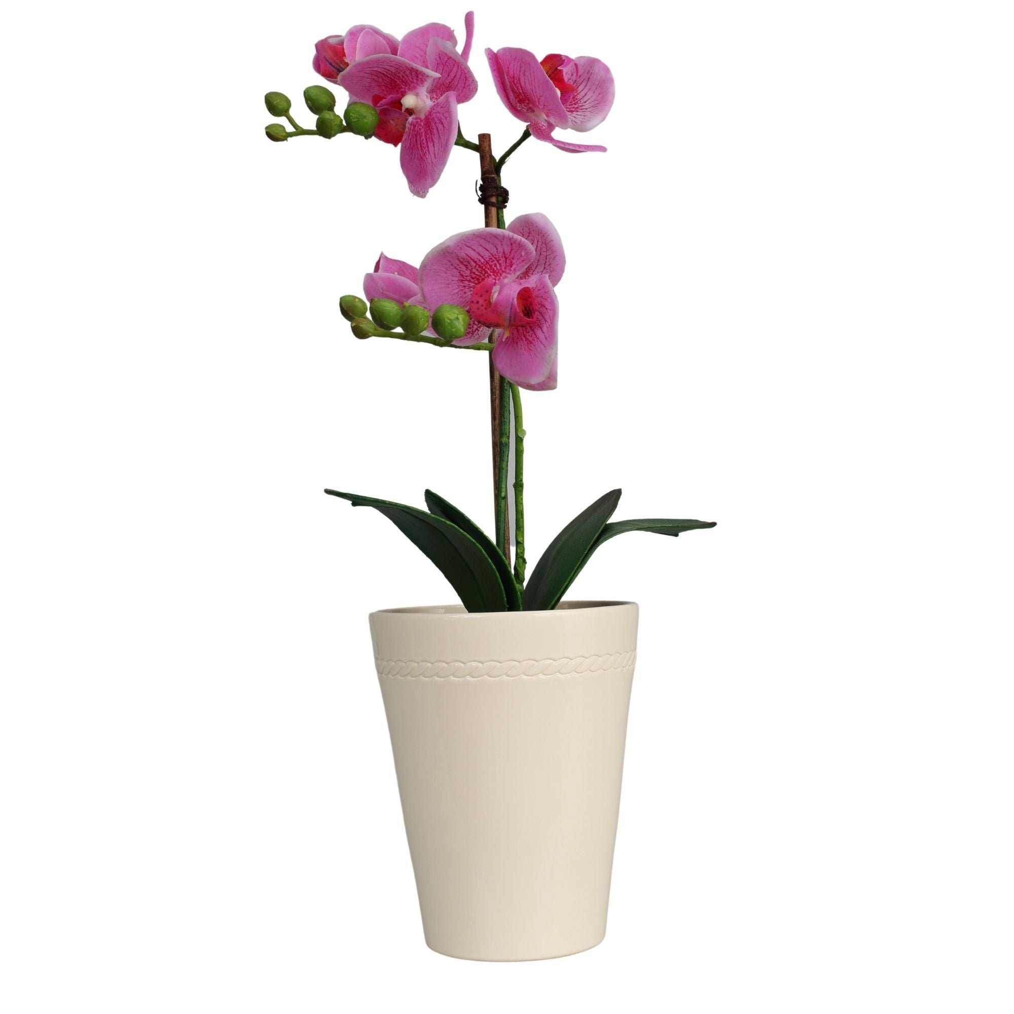 Ghiveci orhidee Nikene, ceramica, Ø 13 cm, bej