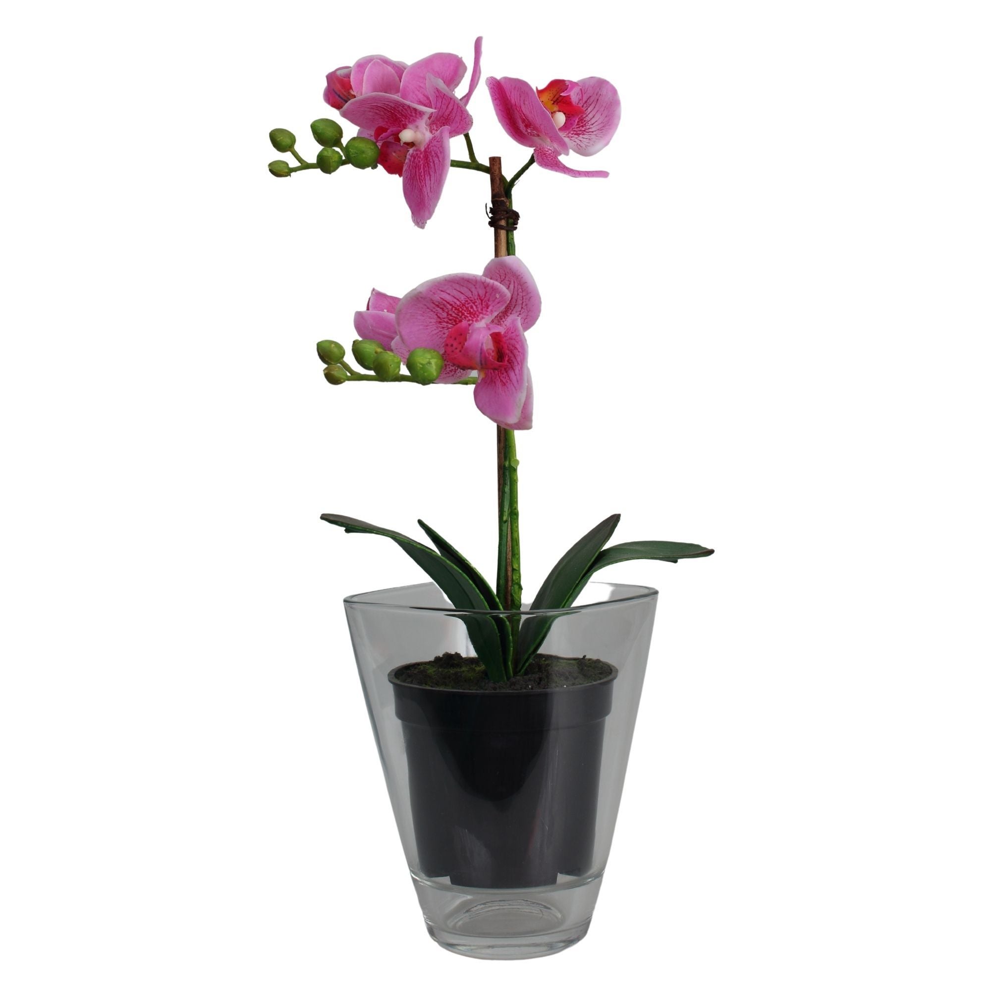 Ghiveci orhidee, sticla, 14 x 14 cm, transparent