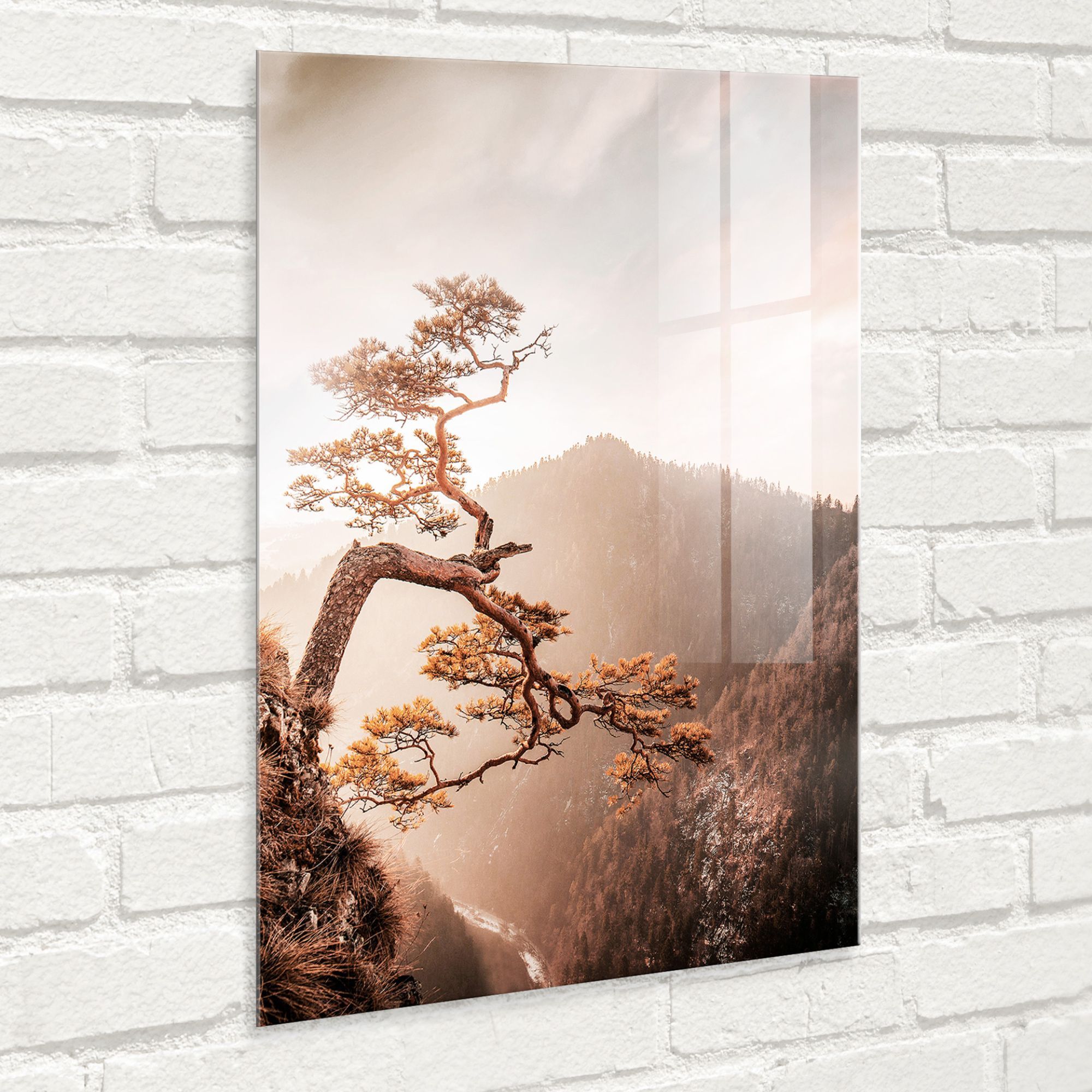 Tablou sticla Arbore la asfintit, 50 x 70 cm