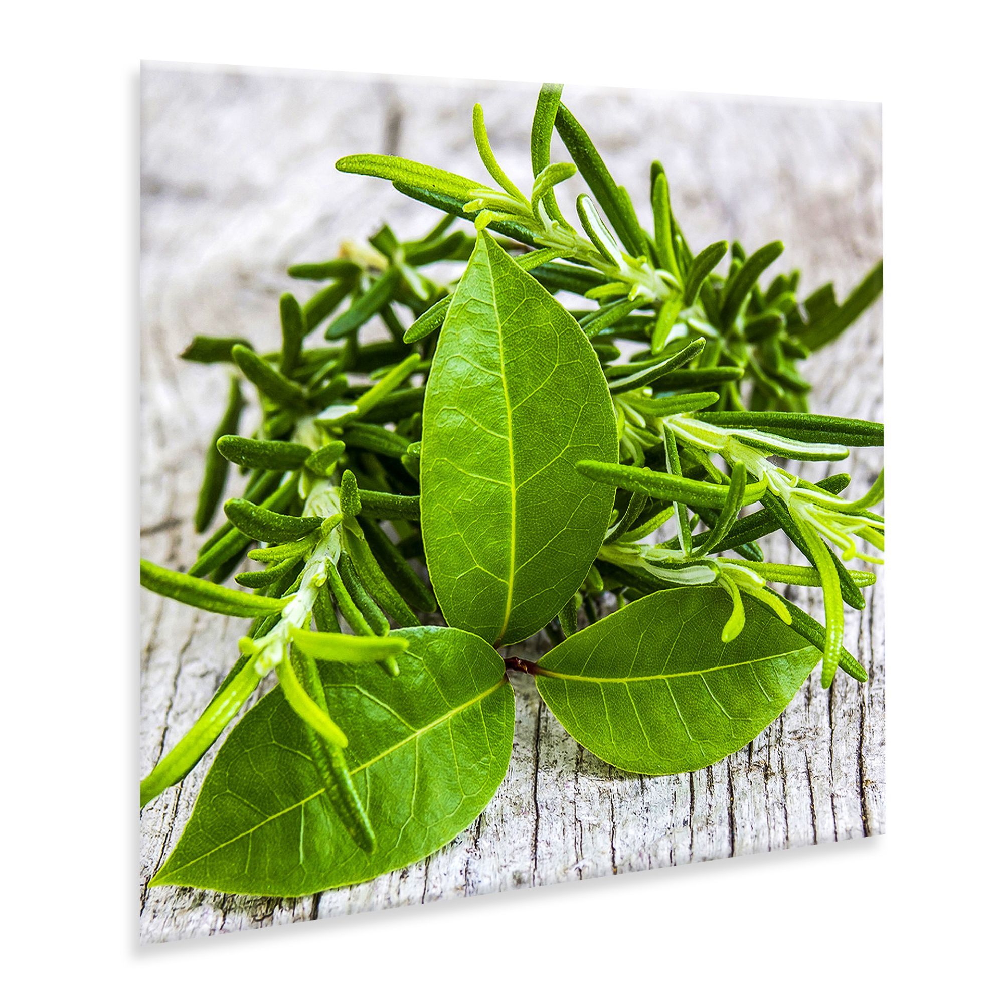 Tablou sticla Plante aromatice, 30 x 30 cm