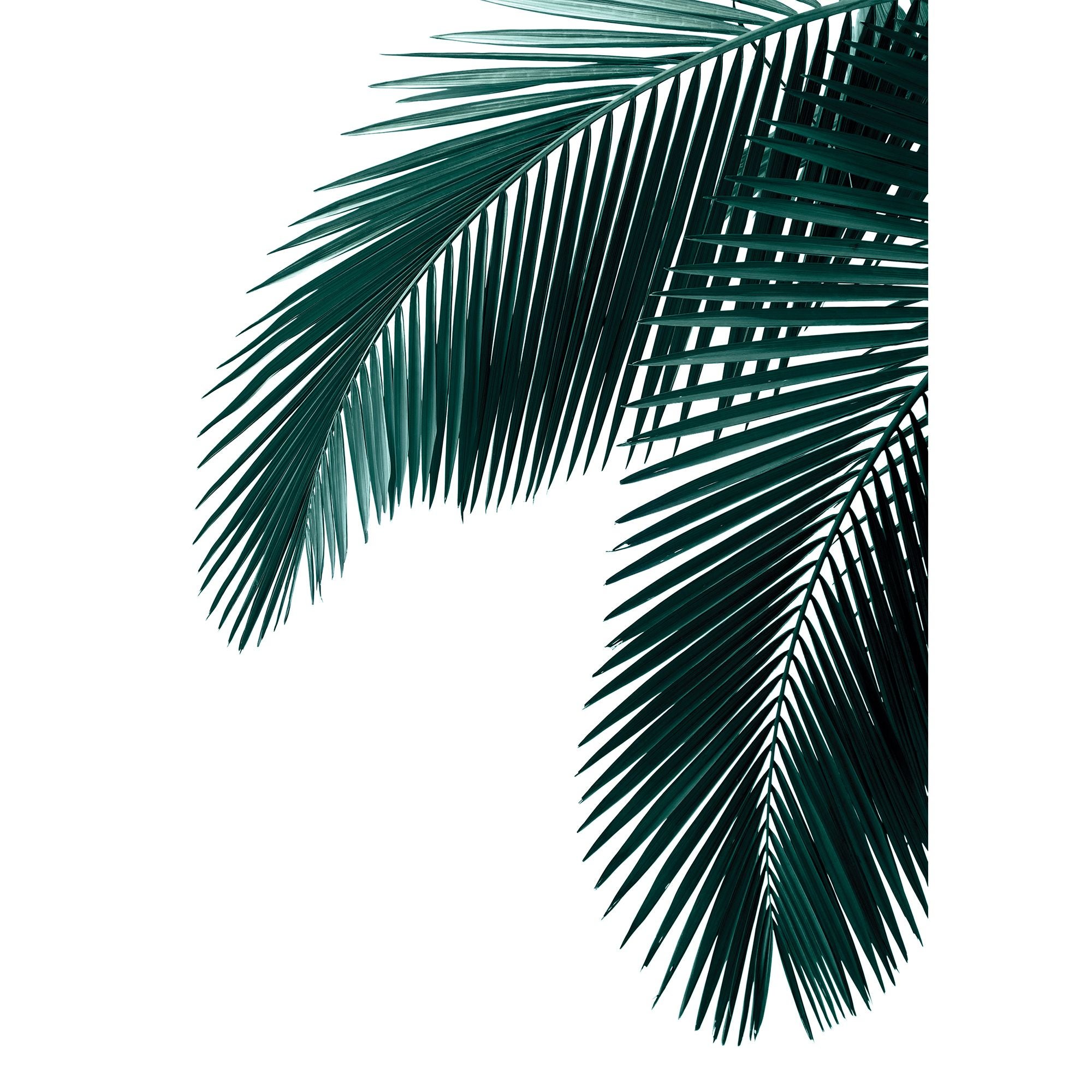 Set 3 postere imprimate Frunze verzi, 21 x 30 cm