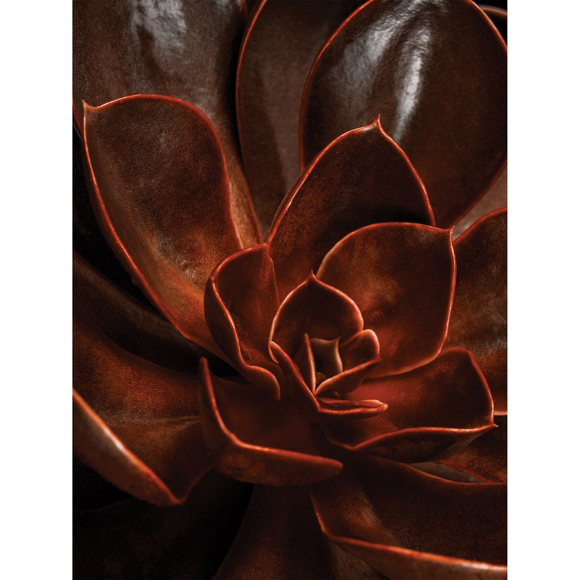 Poster imprimat Floare glamour, 30 x 40 cm