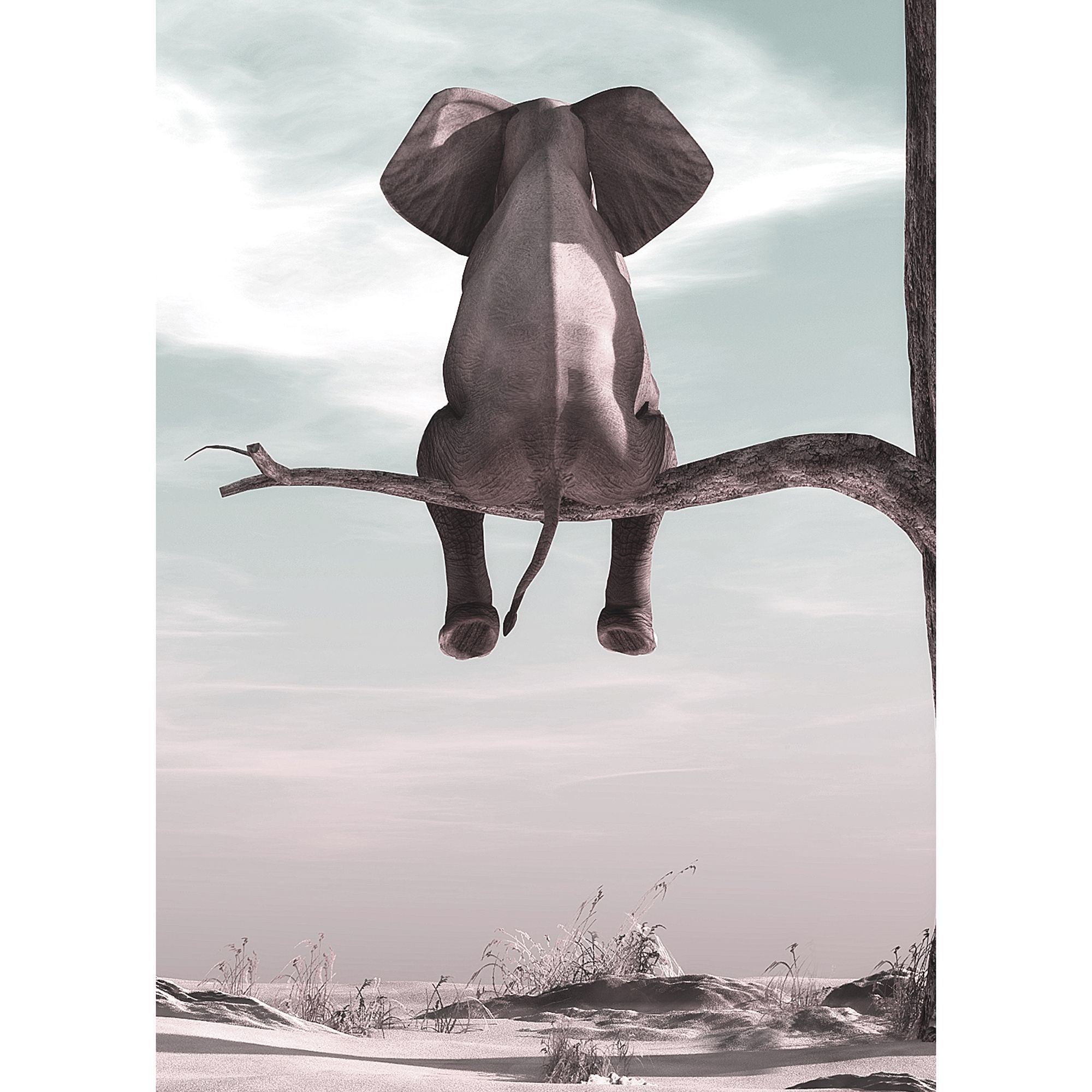 Poster imprimat Elefant, 30 x 40 cm