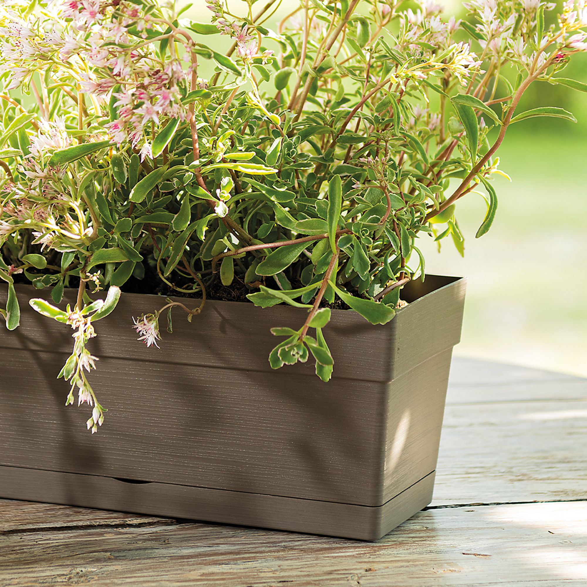 Jardiniera Save, plastic, lungime 28 cm, maro