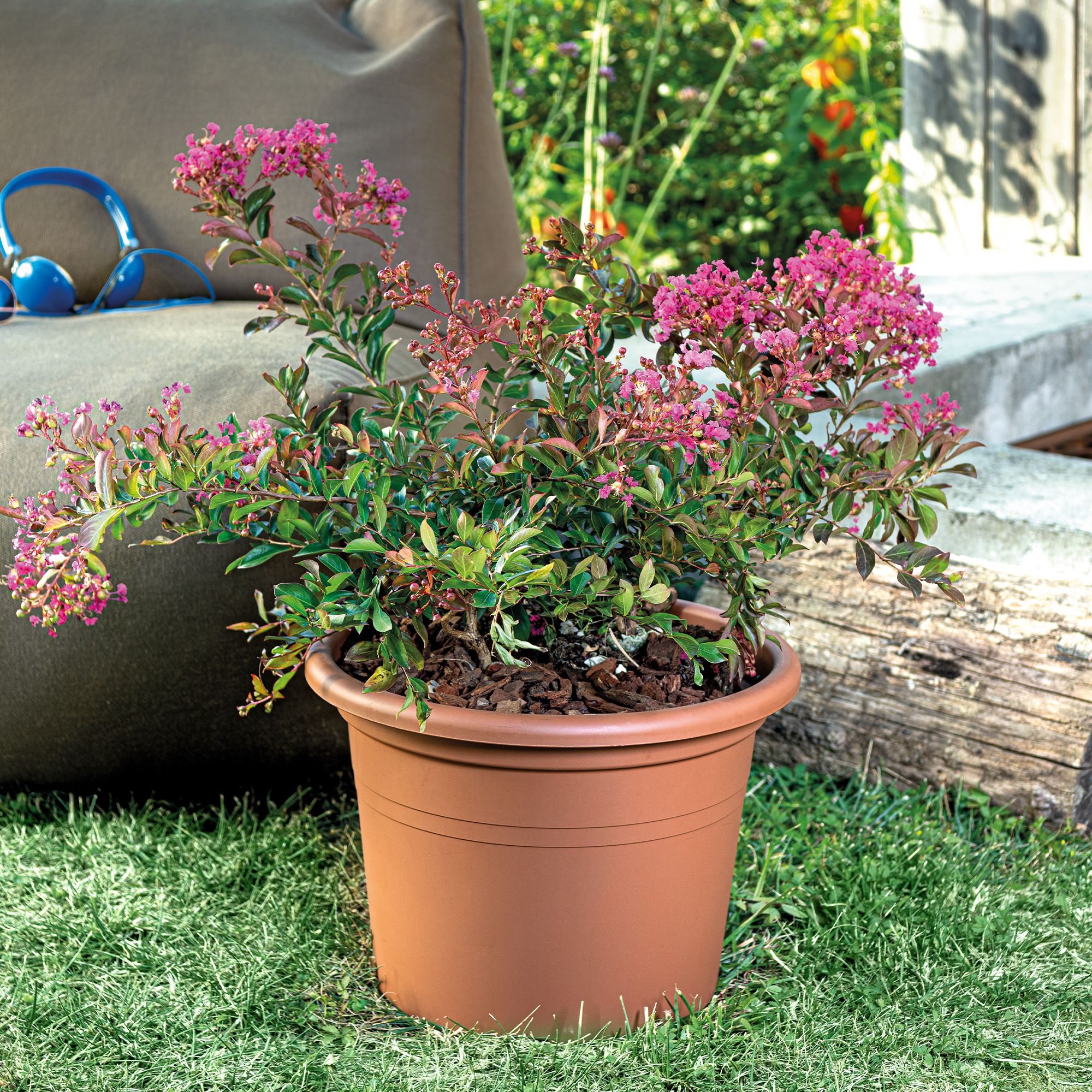 Ghiveci flori Day, plastic, Ø 20 cm, maro