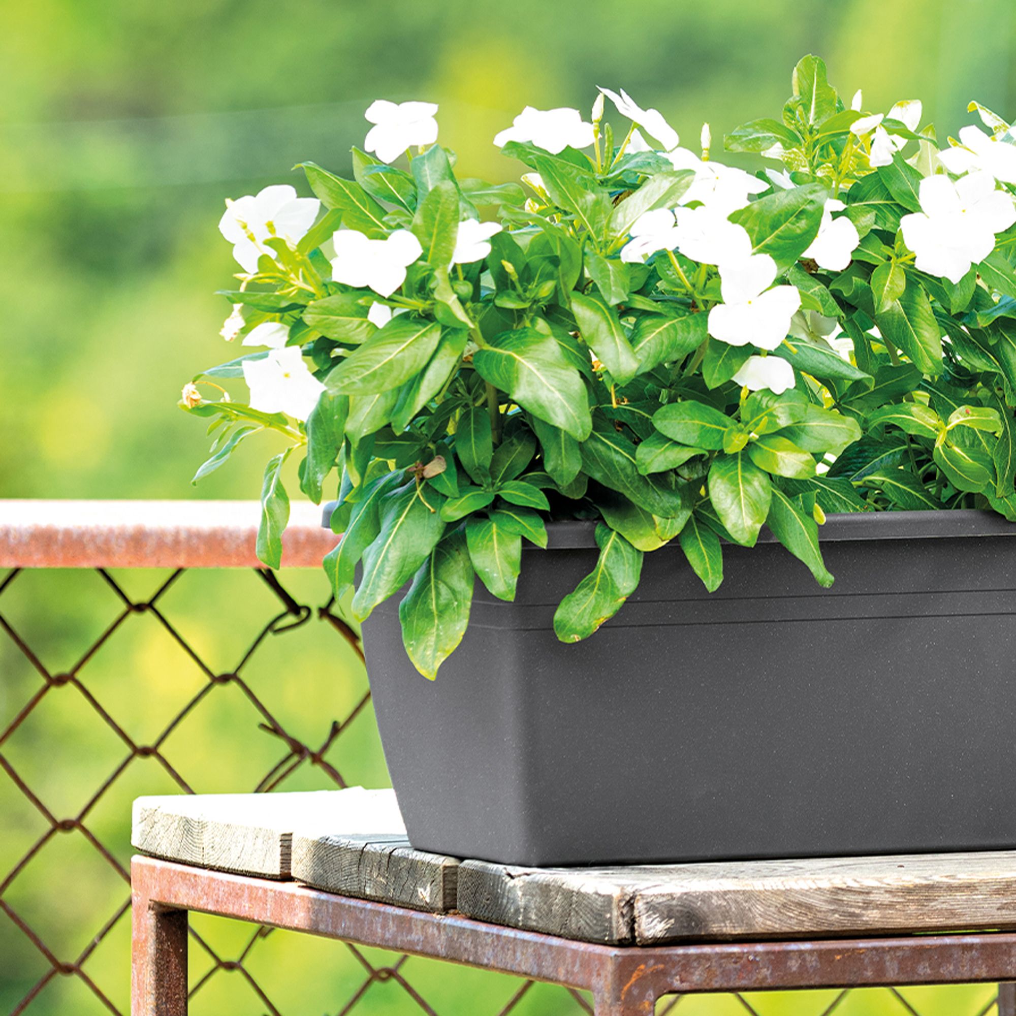 Jardiniera Day, plastic, lungime 40 cm, gri antracit