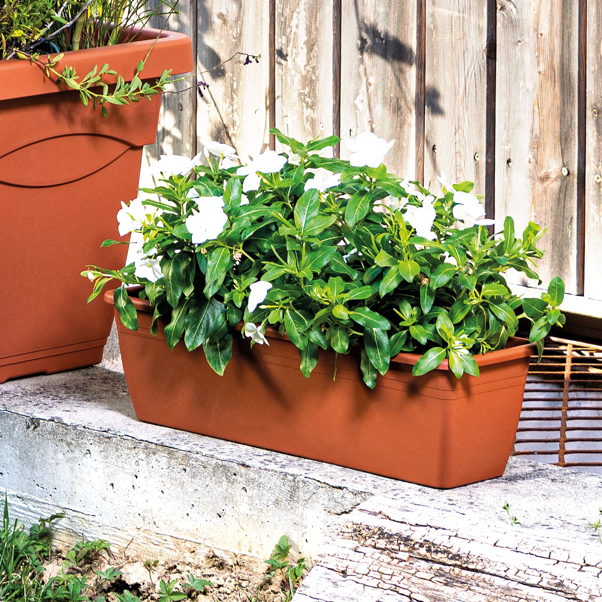 Jardiniera Day, plastic, lungime 40 cm, maro teracota