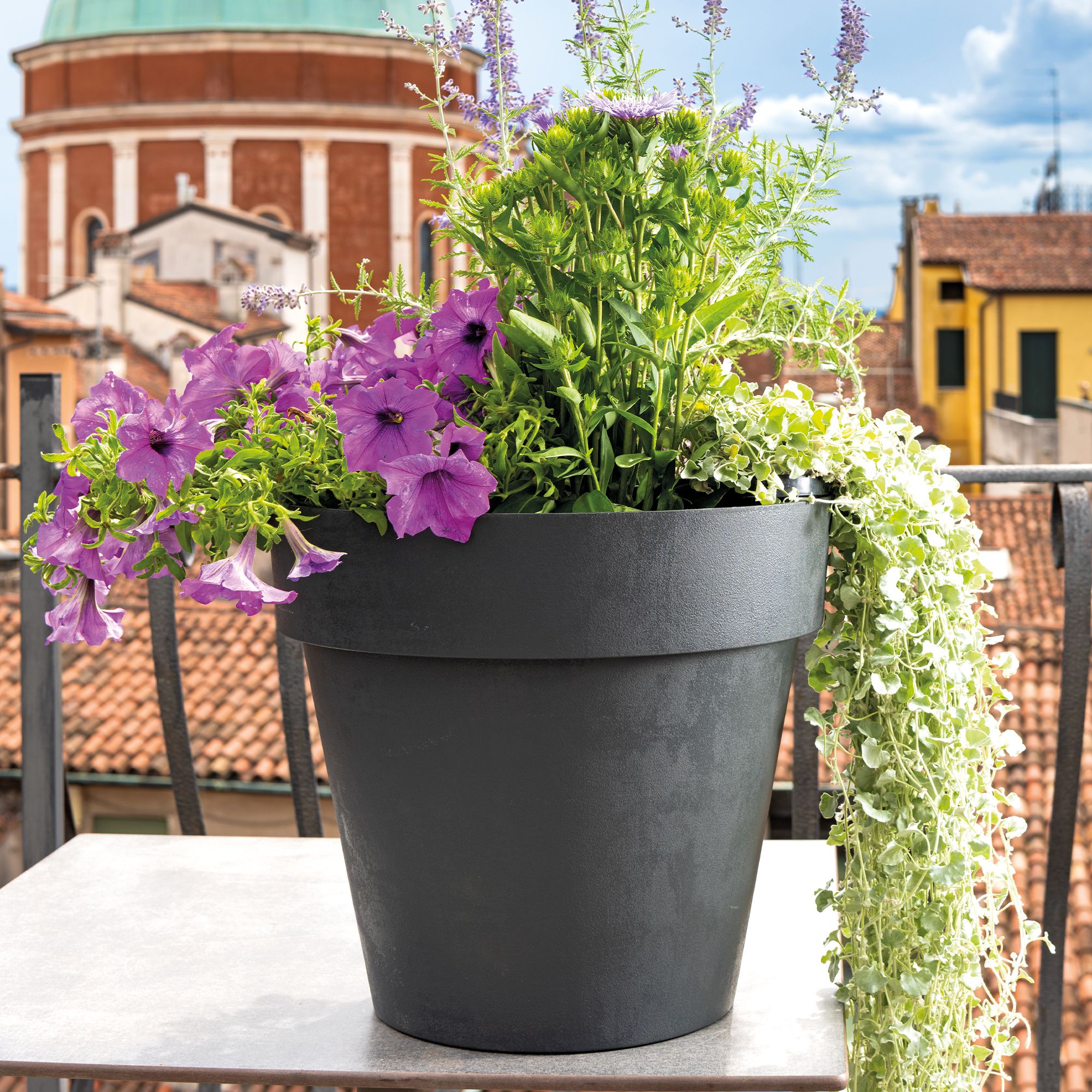 Ghiveci flori Like, plastic, Ø 15 cm, gri antracit