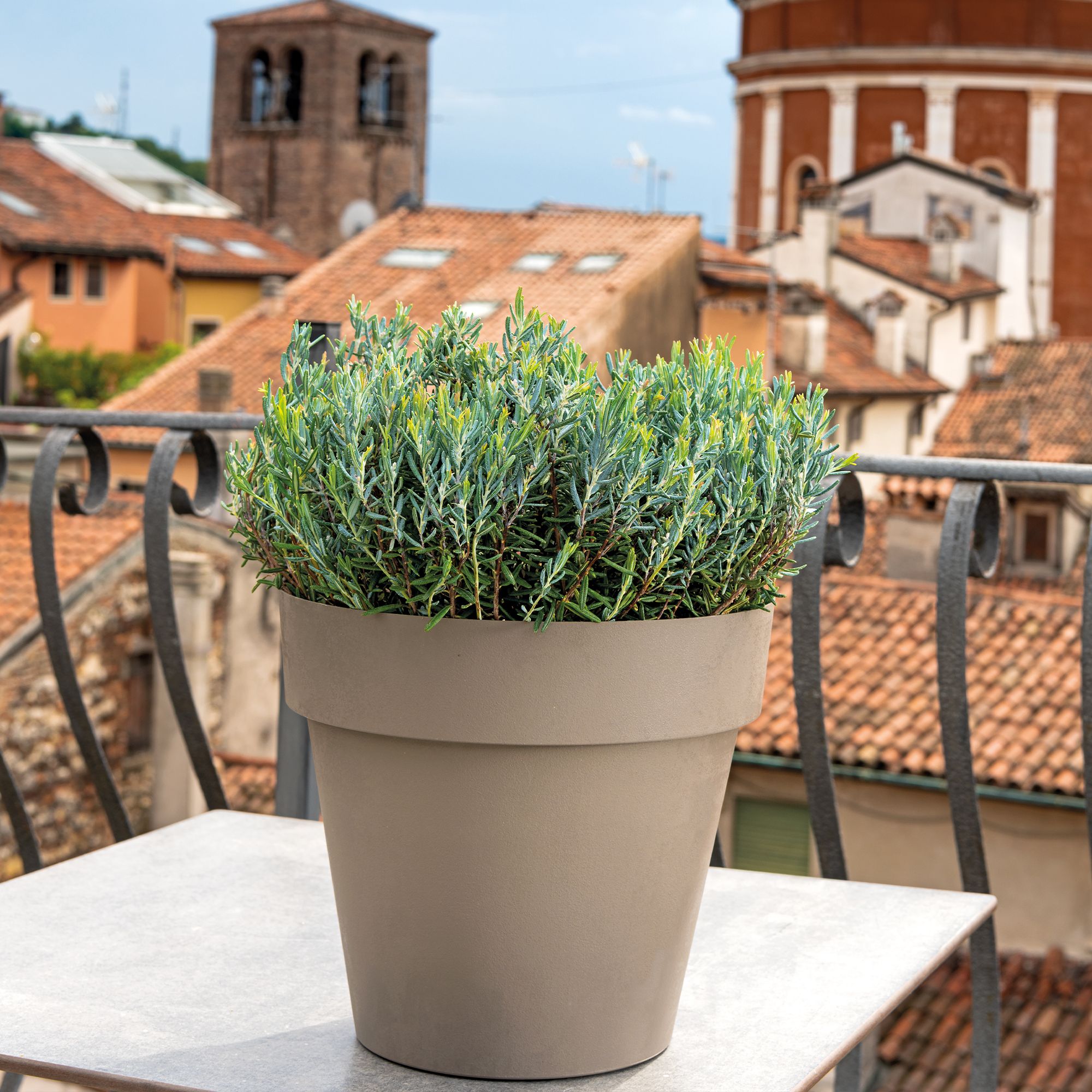 Ghiveci flori Like, plastic, Ø 22 cm, gri