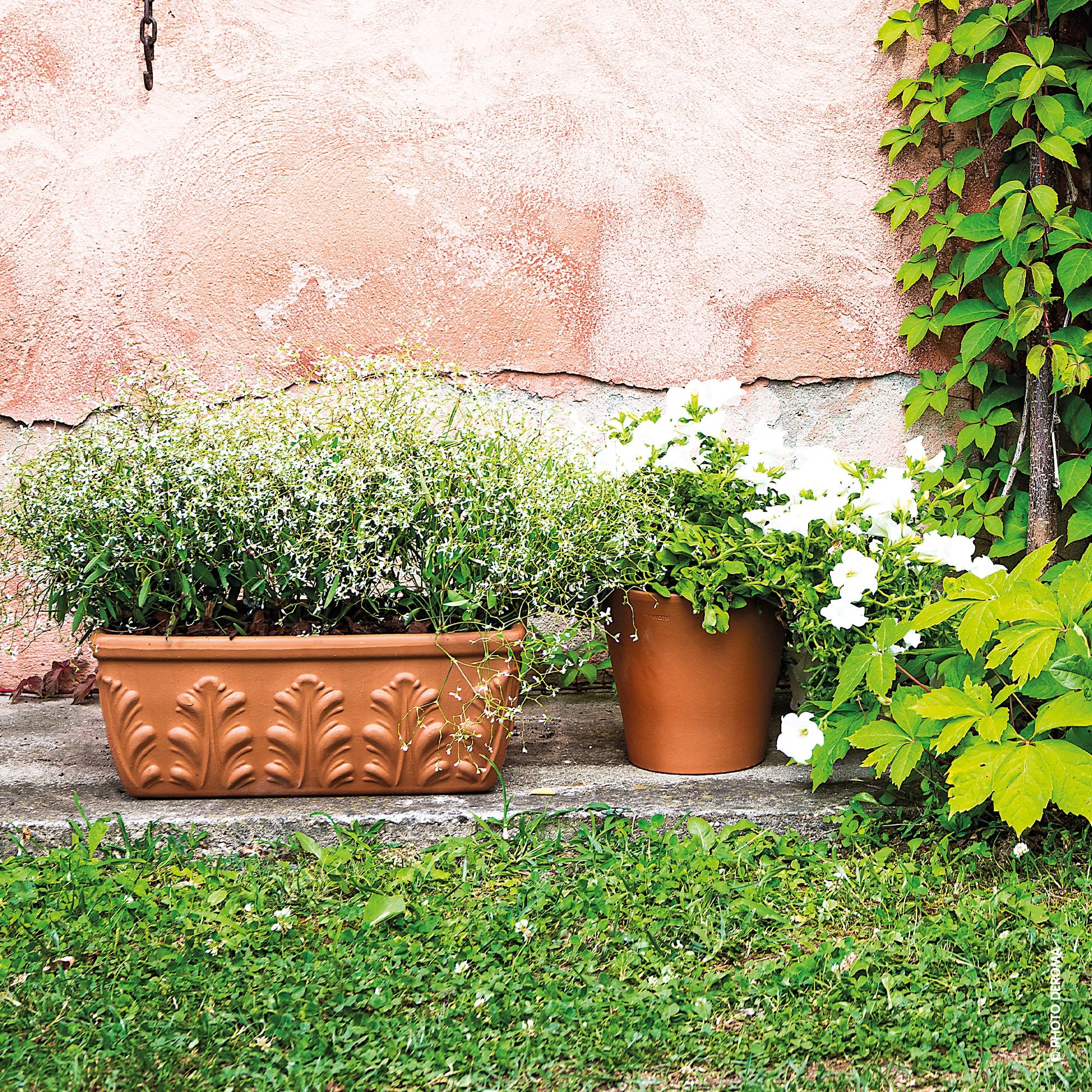 Jardiniera Roma Design, teracota, lungime 52 cm, maro teracota