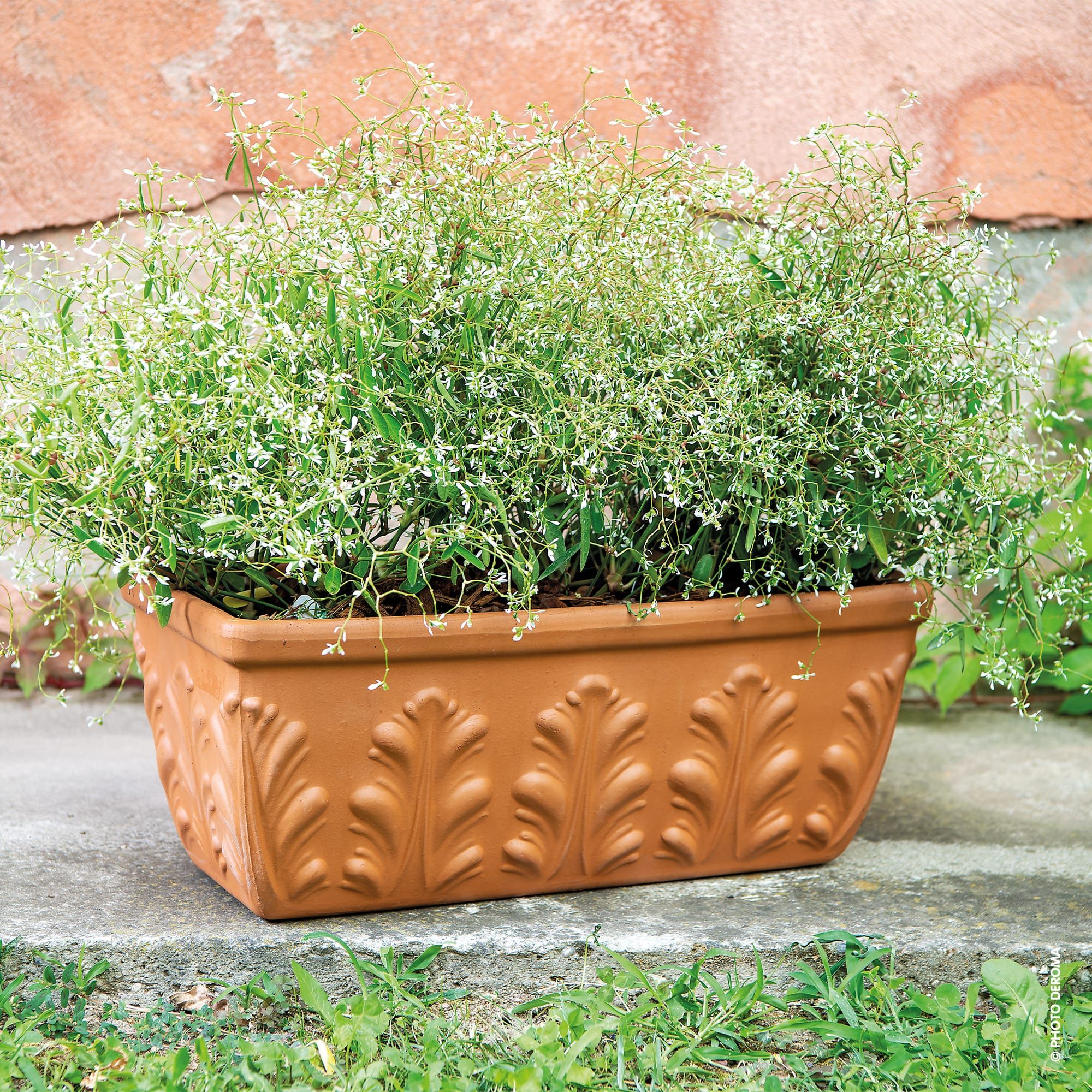 Jardiniera Roma Design, teracota, lungime 52 cm, maro teracota