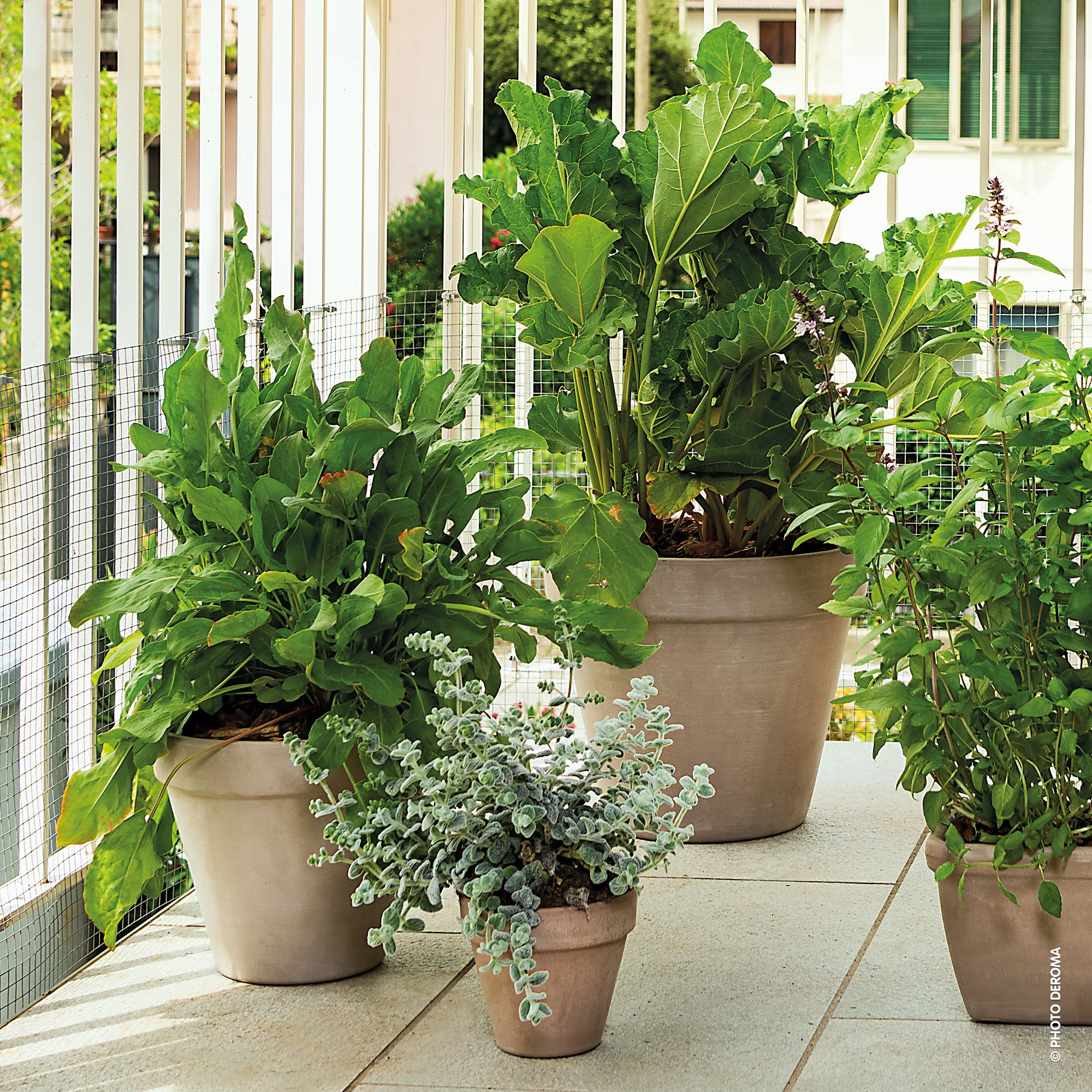 Ghiveci flori Standard, teracota, Ø 27 cm, gri