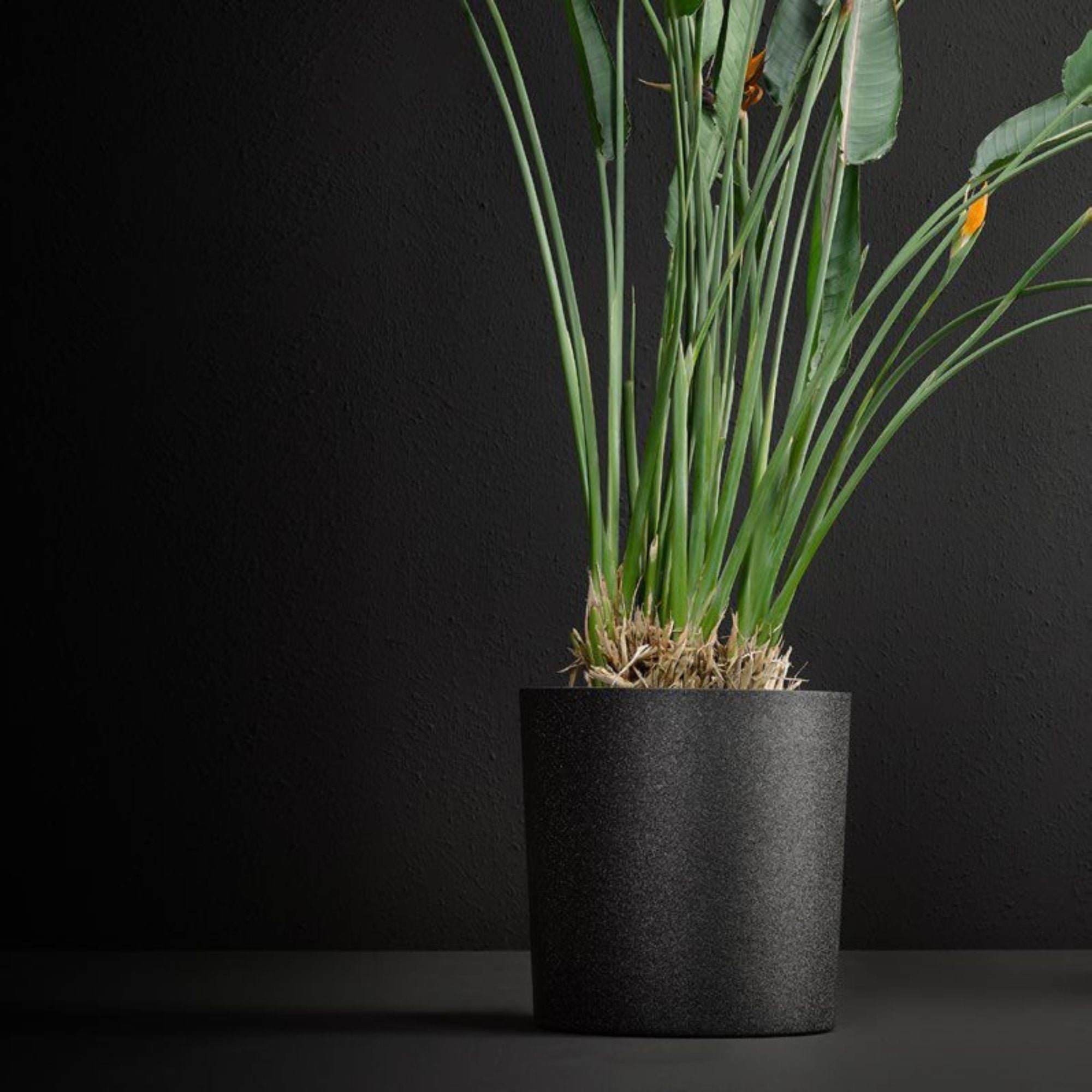 Ghiveci flori IQ, polipropilena, Ø 25 cm, negru