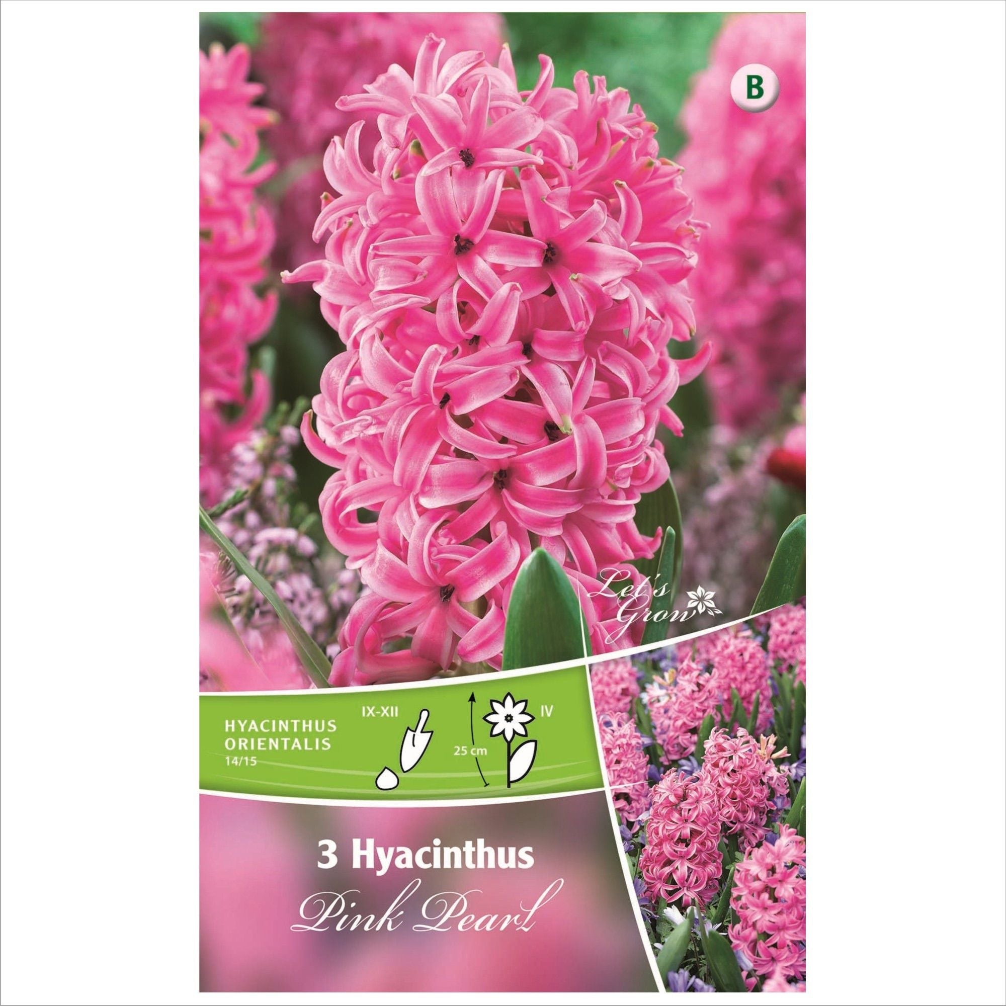 Bulbi zambila Pink Pearl, Let's Grow, roz (3 buc)
