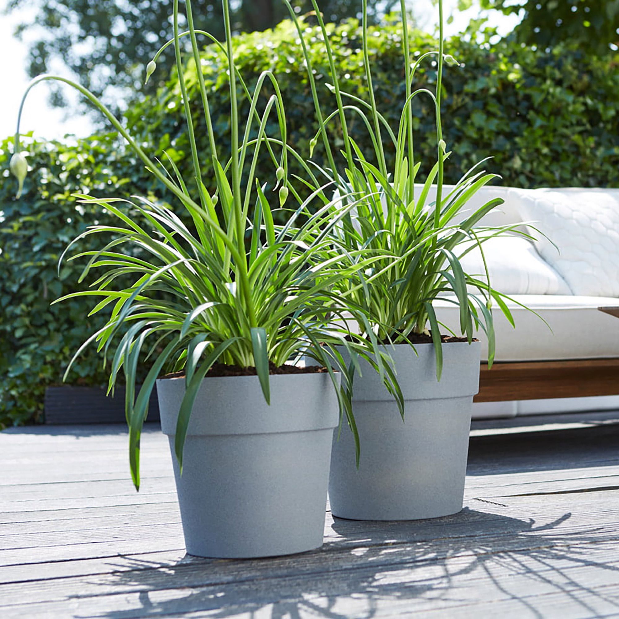 Ghiveci vibia Straight 25 cm ciment