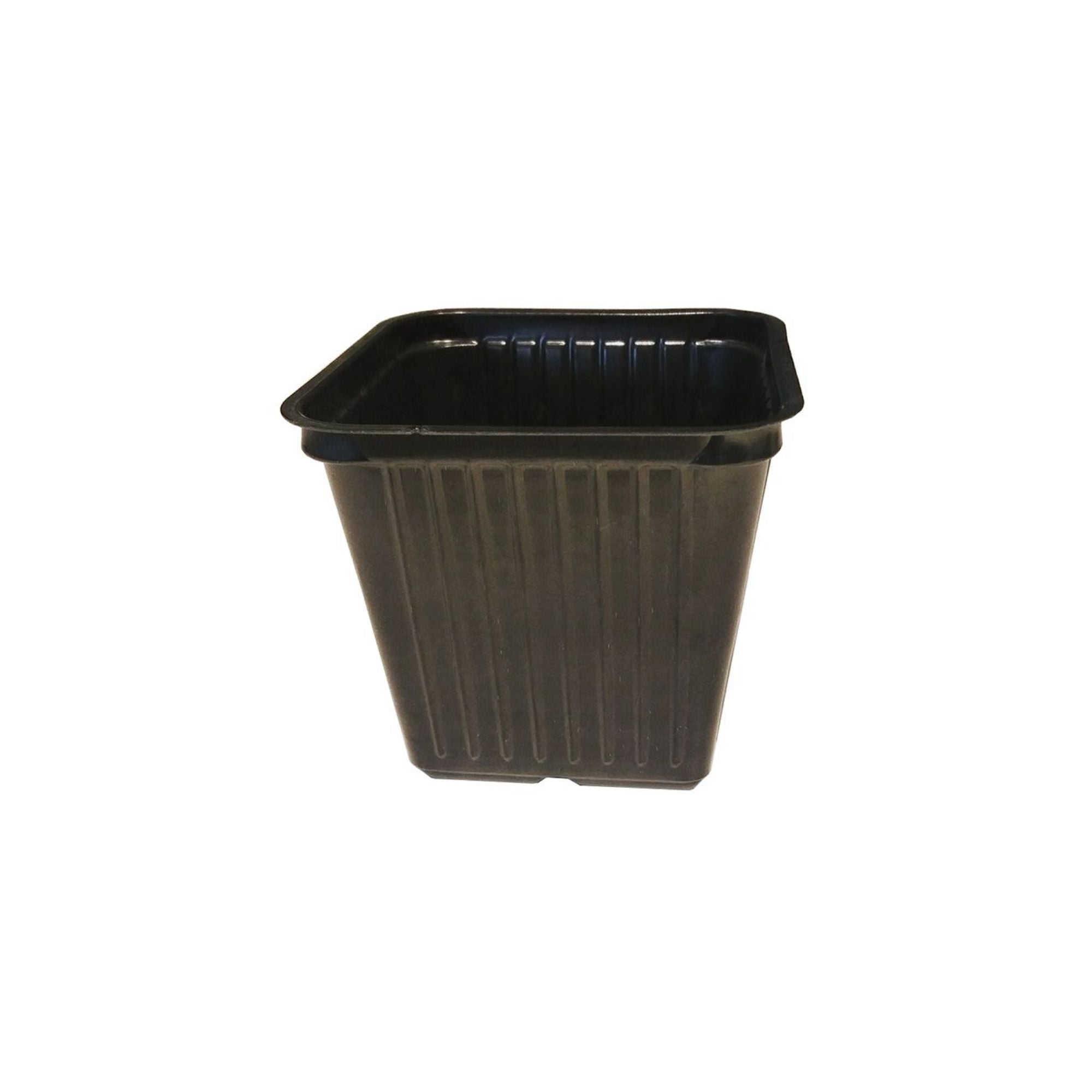 Ghiveci rasad, polipropilena, 7,5 x 7,5 cm (set 24 buc)