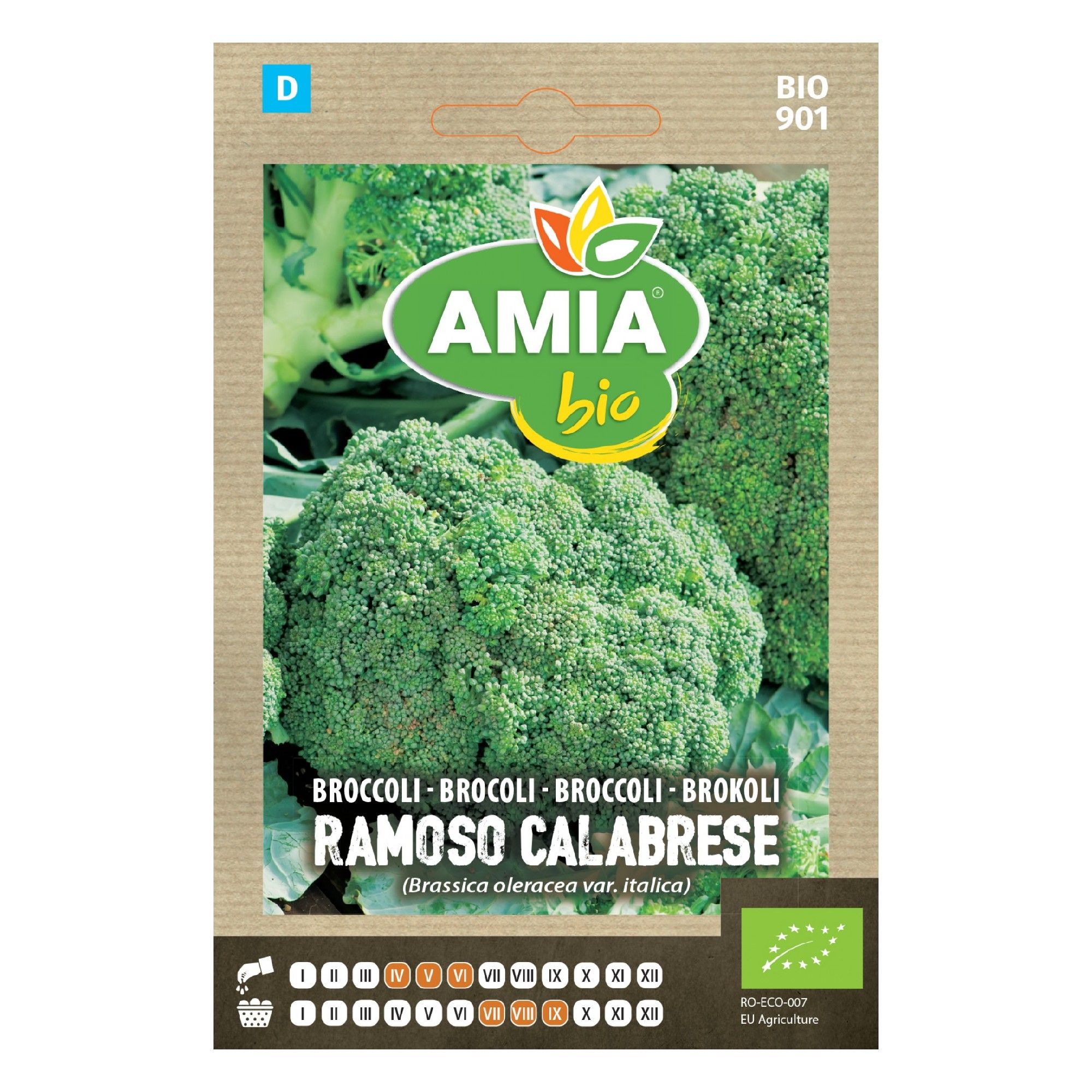 Seminte legume, broccoli bio, Amia