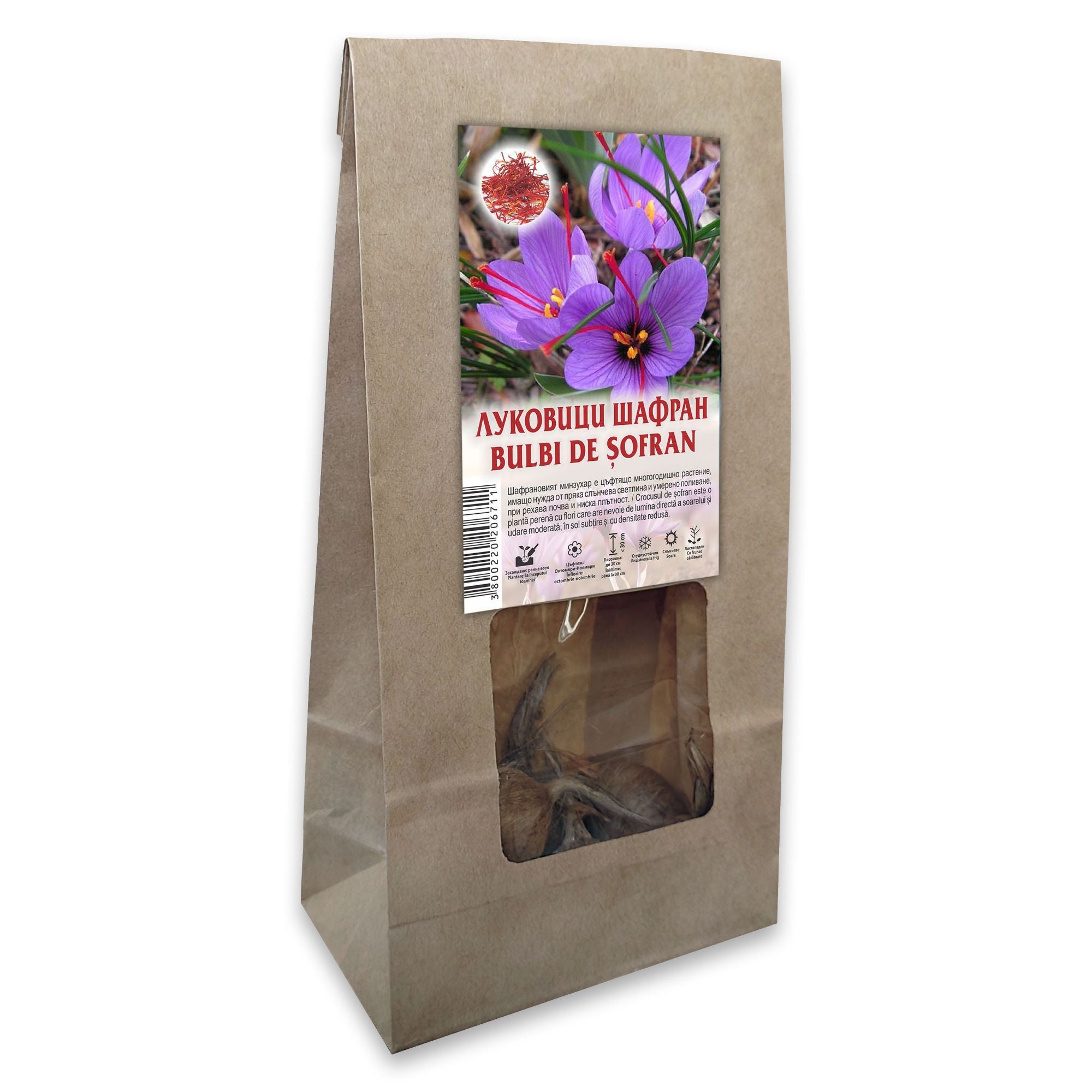 Bulbi Sofran, Crocus sativus, mov, 5 buc