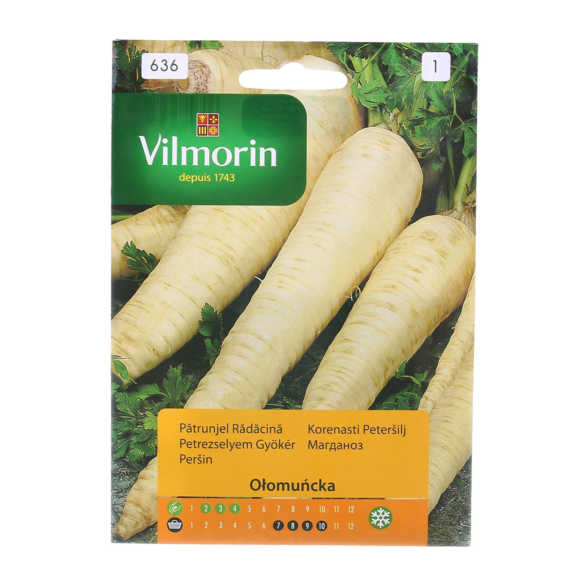 Seminte legume, patrunjel radacina Olomuncka, Vilmorin