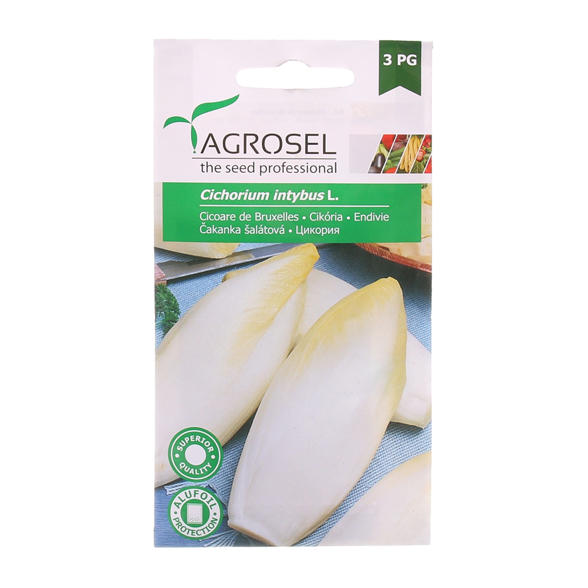 Seminte plante aromatice, andive Cicoare de Bruxelles, Agrosel