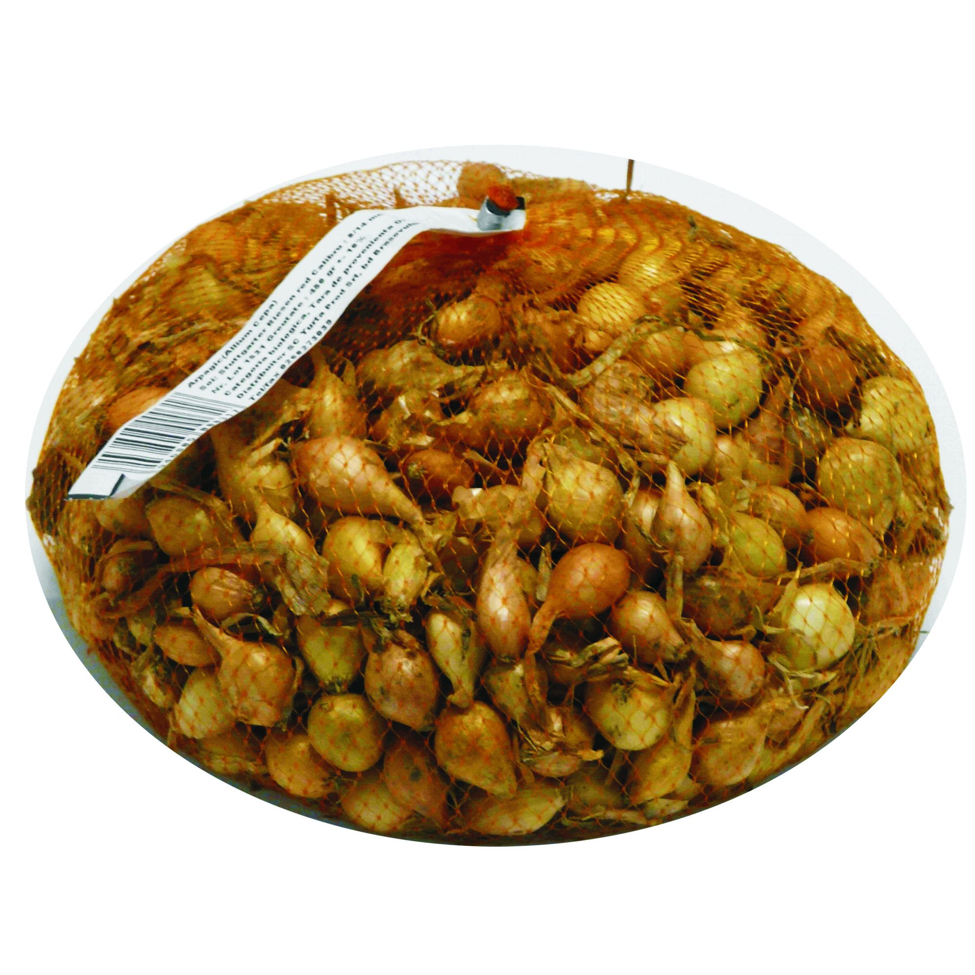 Rasad pentru plantare, soi de arpagic alb, 8 - 16 mm, 0.45 kg