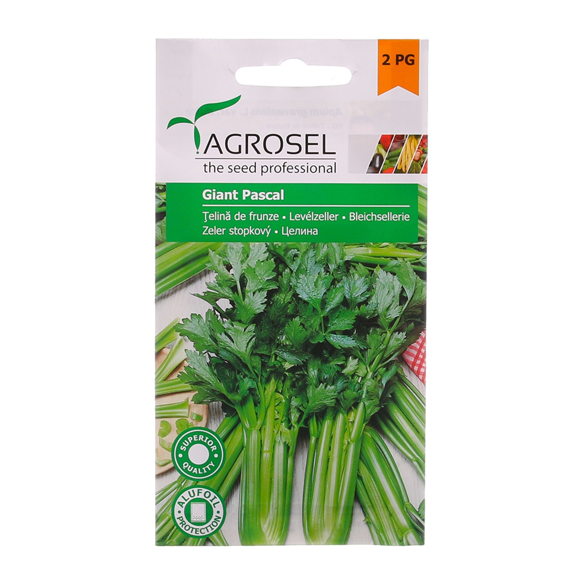 Seminte legume, telina frunze Giant Pascal, Agrosel