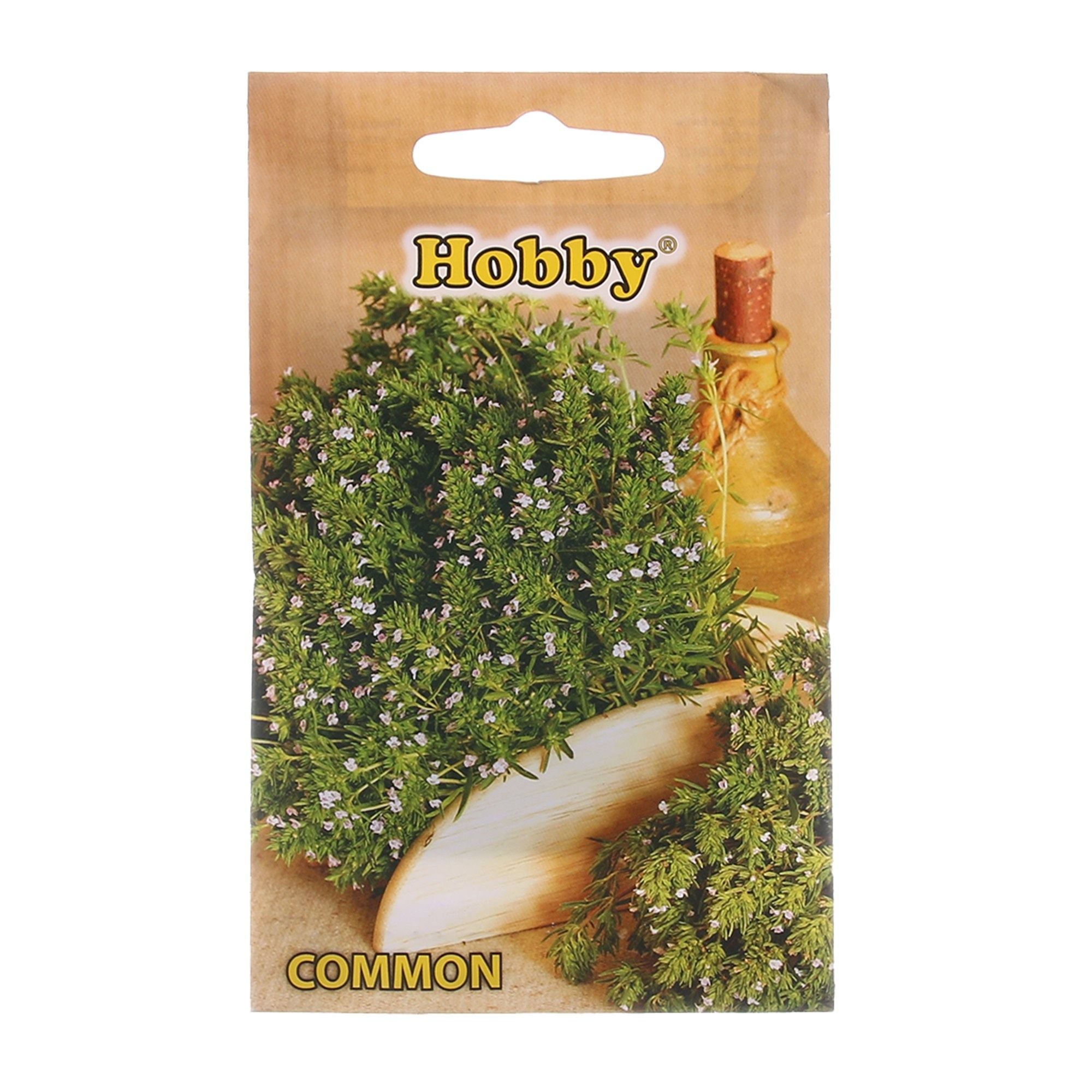 Seminte plante aromatice, cimbru, Hobby