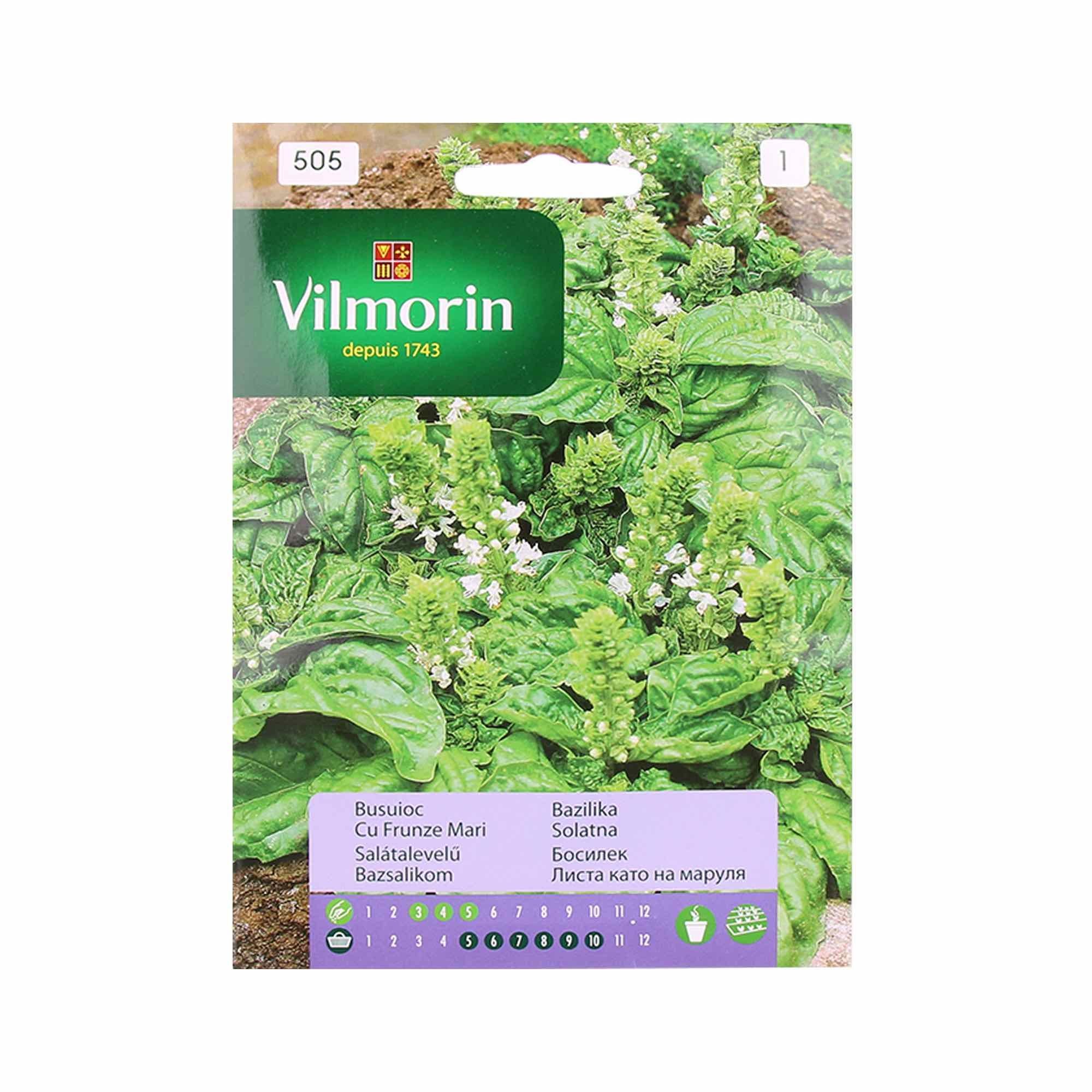 Seminte busuioc frunze mari Vilmorin 1g