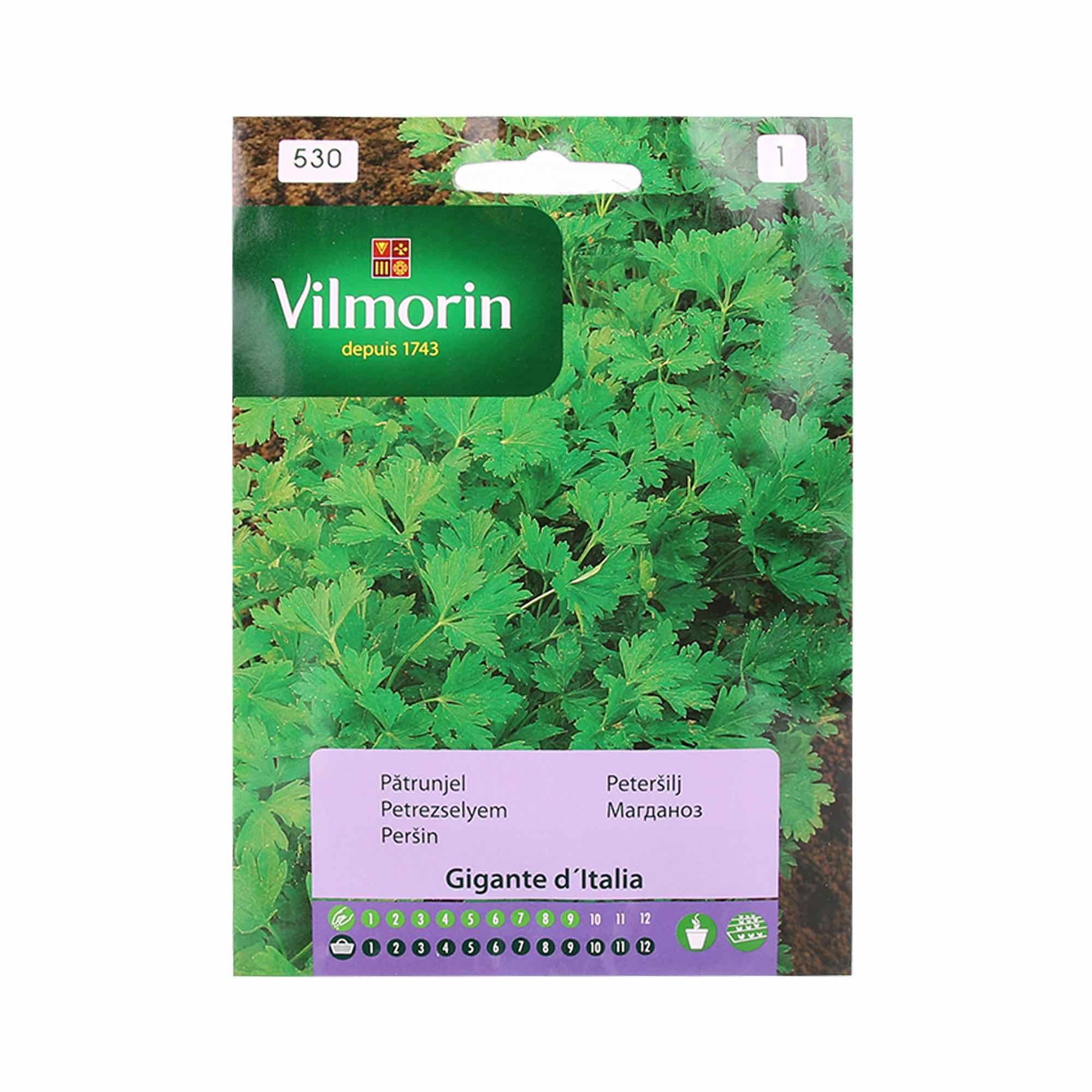 Seminte plante aromatice, patrunjel frunza Gigante d'Italia, Vilmorin
