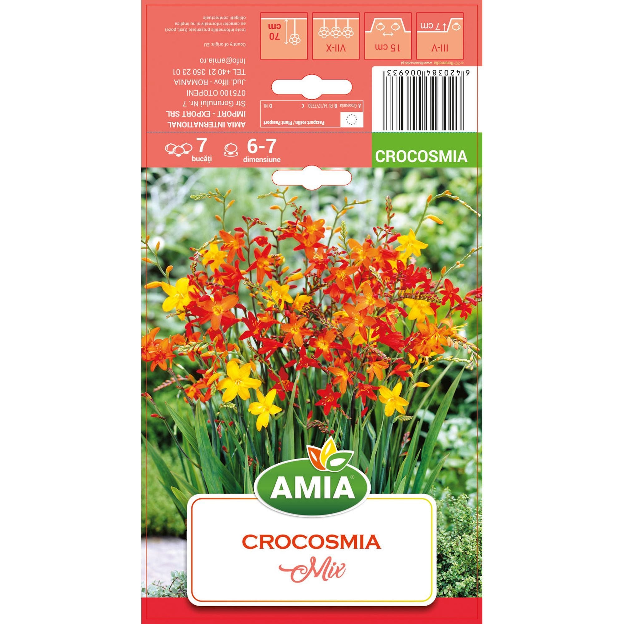 Bulbi de primavara Amia, mix specii