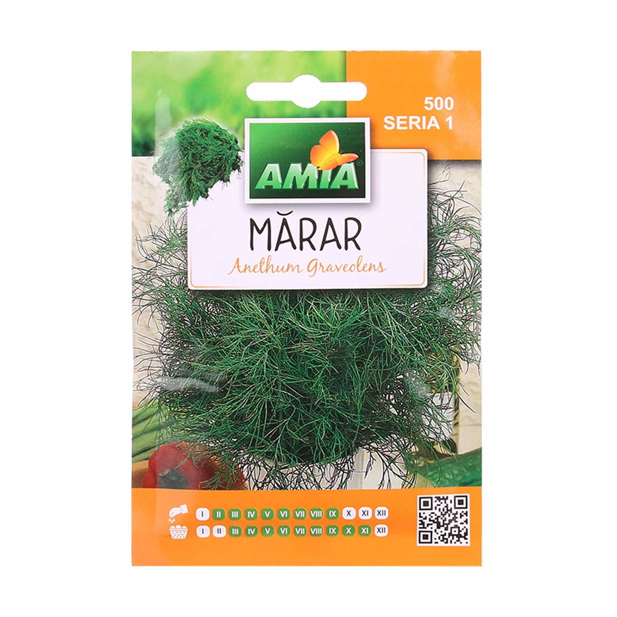 Seminte plante aromatice, marar comun, Amia