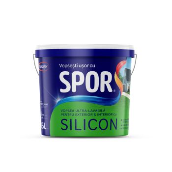 Vopsea Lavabila Exterior - Vopsea Cauciucata / Siliconica