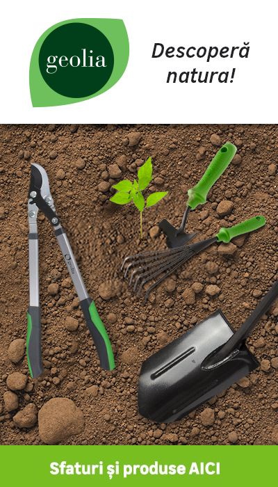 Ancora Metalica pentru Beton & Rigips - Cu/Fara Carlig | Leroy Merlin