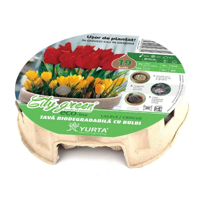 Bulbi lalele/branduse, Yurta, in tava biodegradabila, rosu/galben (19 buc)
