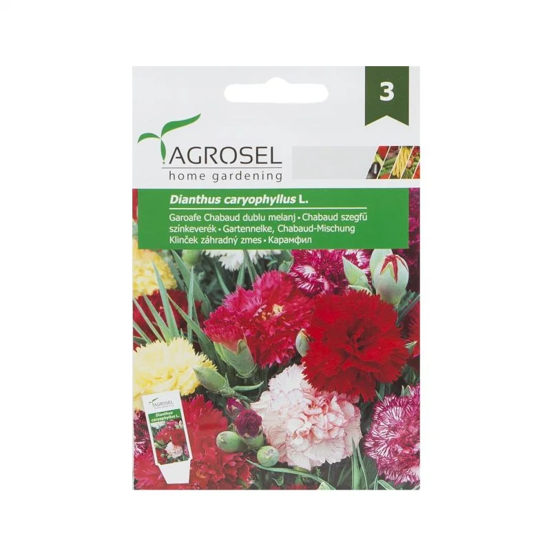 Seminte flori de primavara, garoafe chabaud, amestec culori, Agrosel