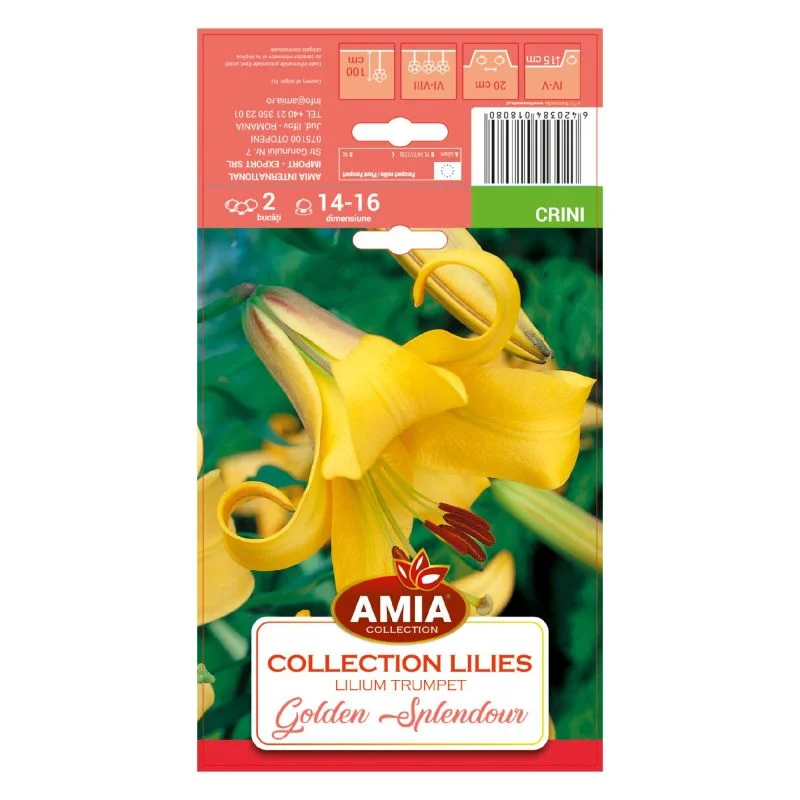 Bulbi crin Trumpet, galben (2 buc)