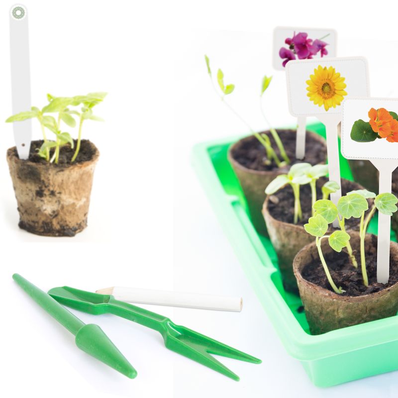 Set de plantare flori, pentru copii