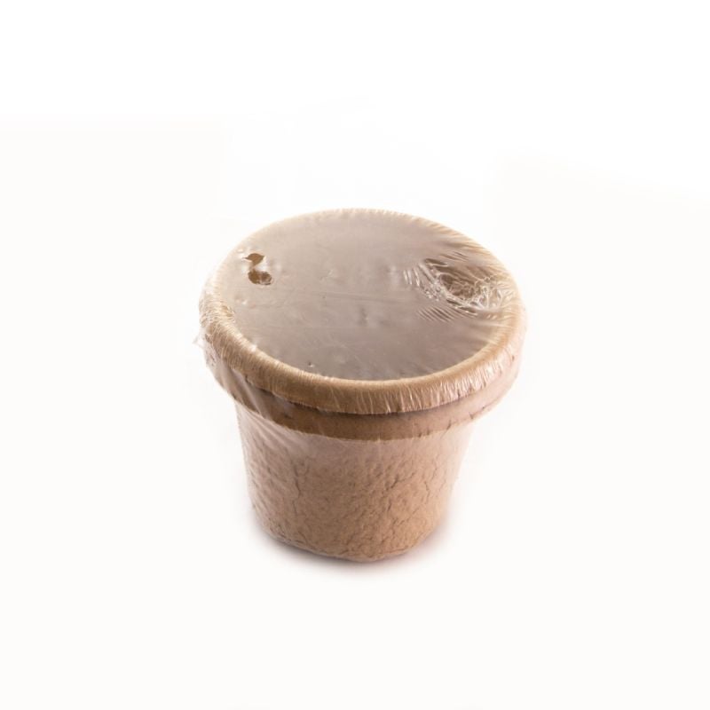 Ghiveci / Alveola rasad biodegradabil Ø 11cm ( 2 buc)