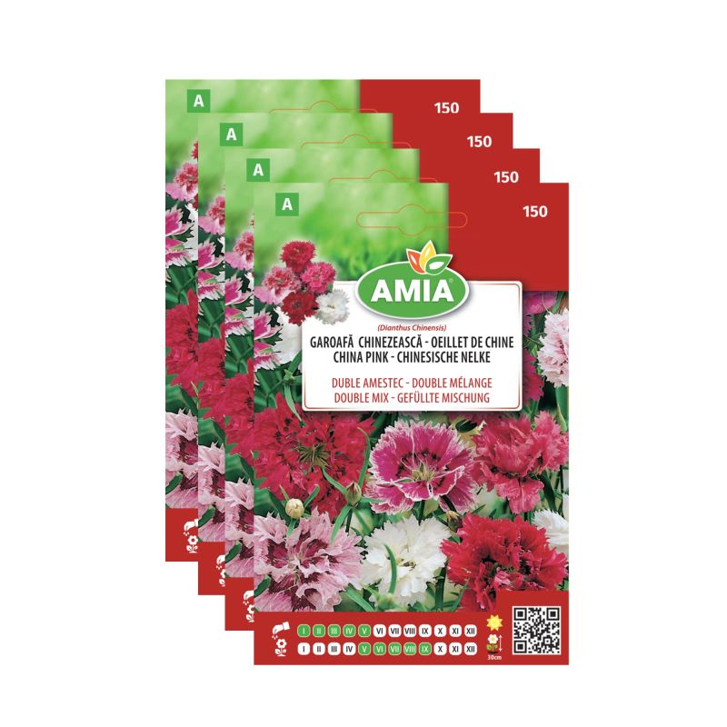 Seminte flori de primavara, garoafe chinezesti mari, amestec culori ...