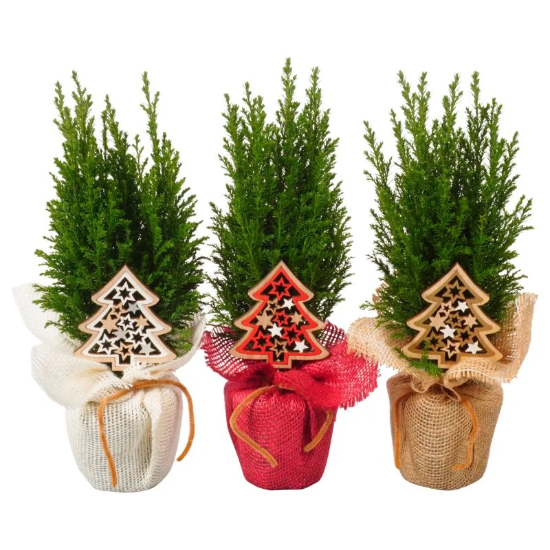 Bradut decorativ de Craciun, cu ornament bradut, Ø 9 cm, H 32 cm ...