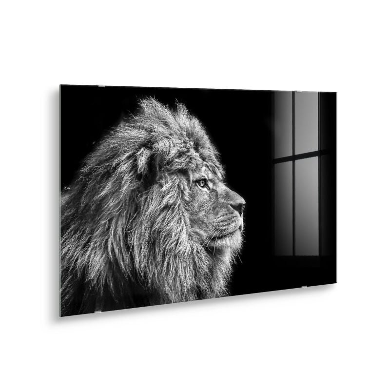 Tablou sticla Leu, 70 x 100 cm