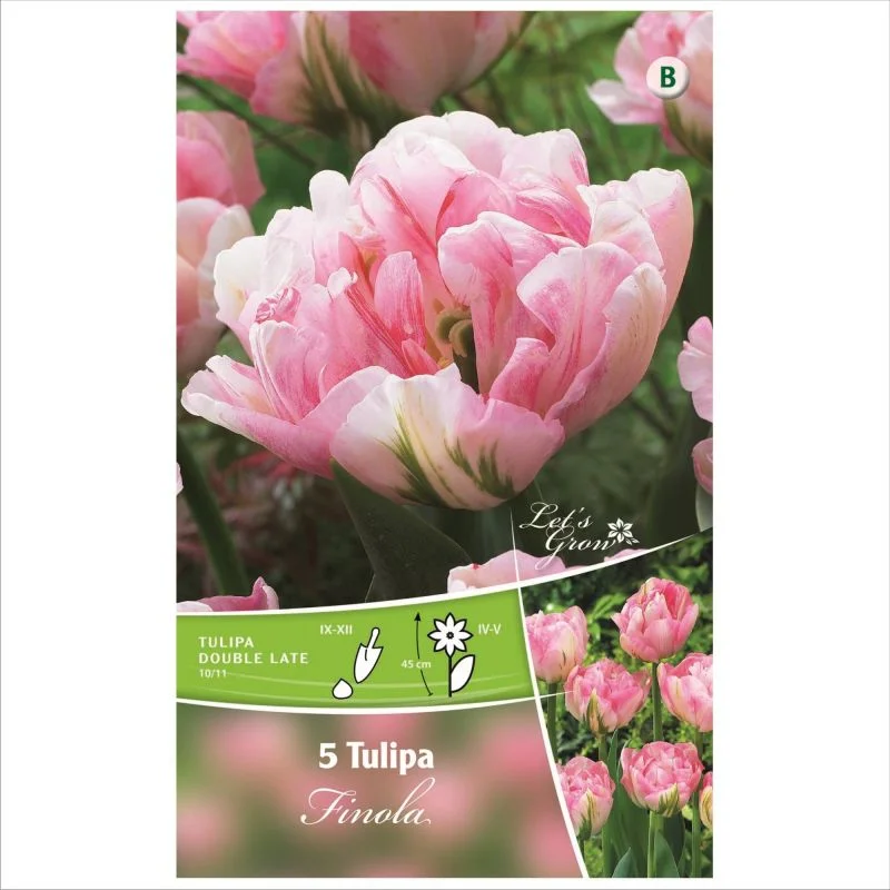 Bulbi lalea Angelique, Let's Grow, roz (5 buc)