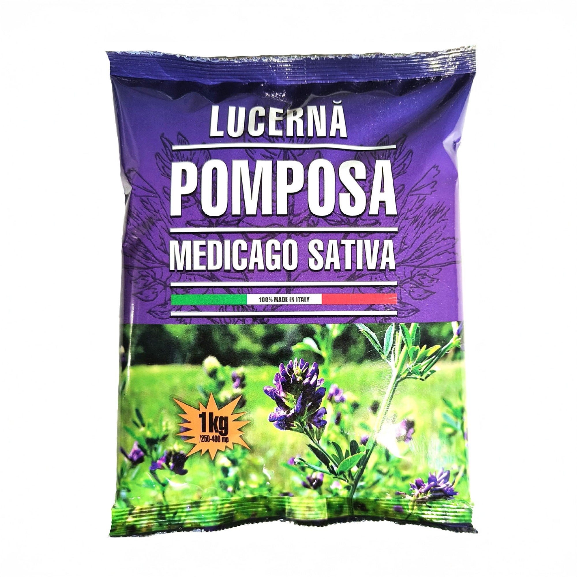 Seminte lucerna Pomposa, Everde, 1 kg