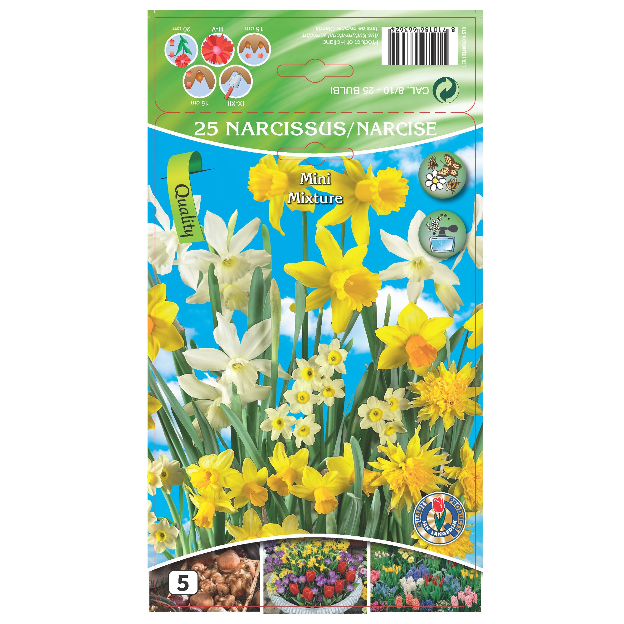 Bulbi Narcise Botanic mix 25 buc