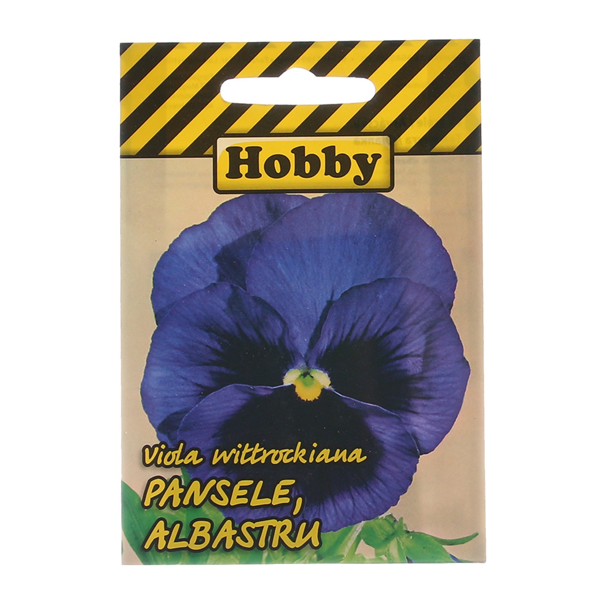 Seminte flori de primavara, pansele albastre, Hobby, 0.1 g